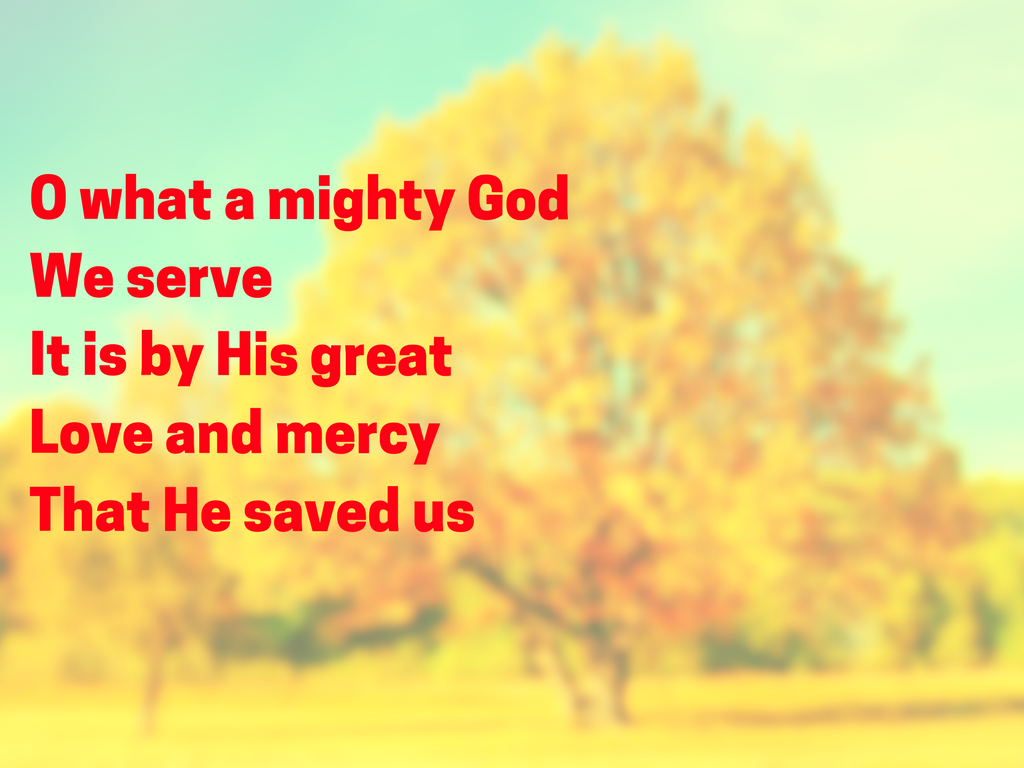 design-1 – Laura Bon