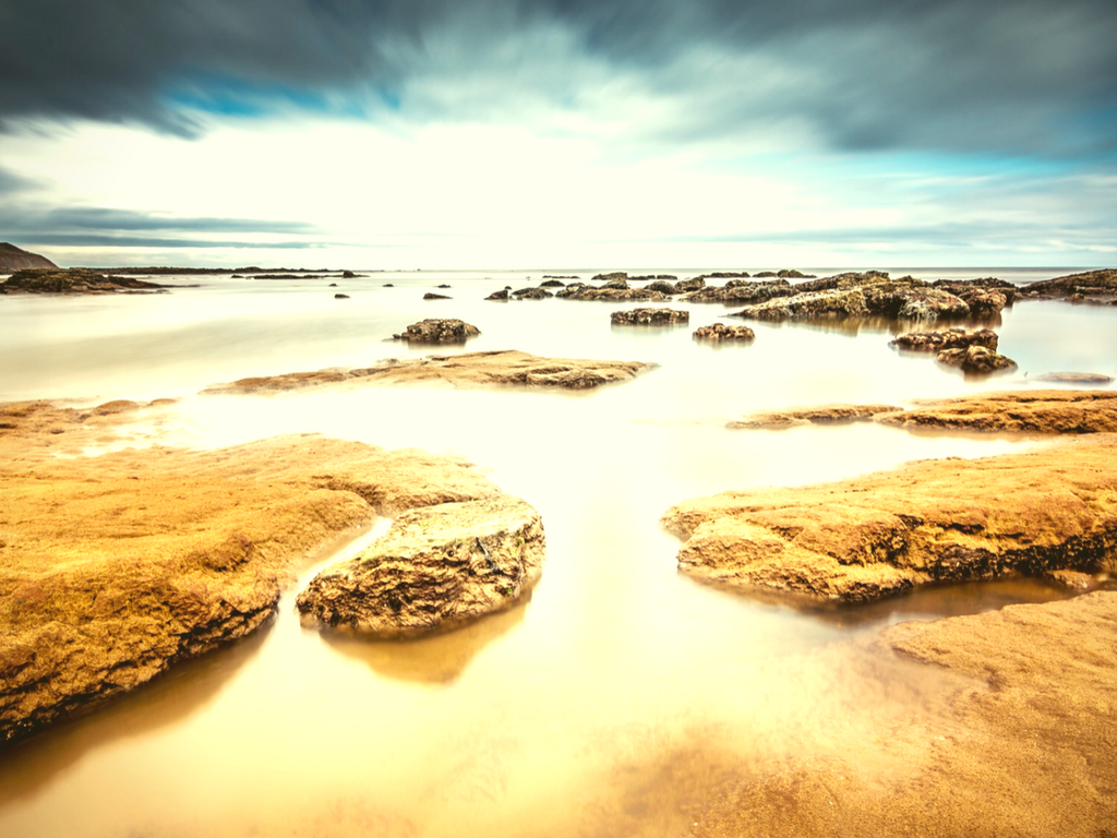 design-30 – Laura Bon